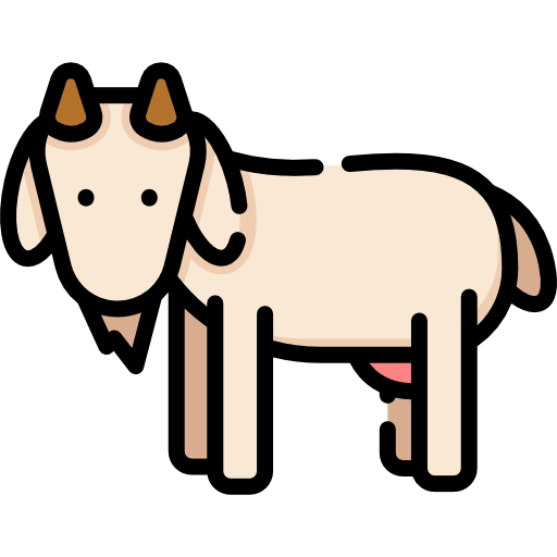 Grade 6 – Kenn Nesbitt's Poetry4kids.com