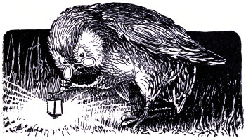 The Early Owl – Kenn Nesbitt's Poetry4kids.com