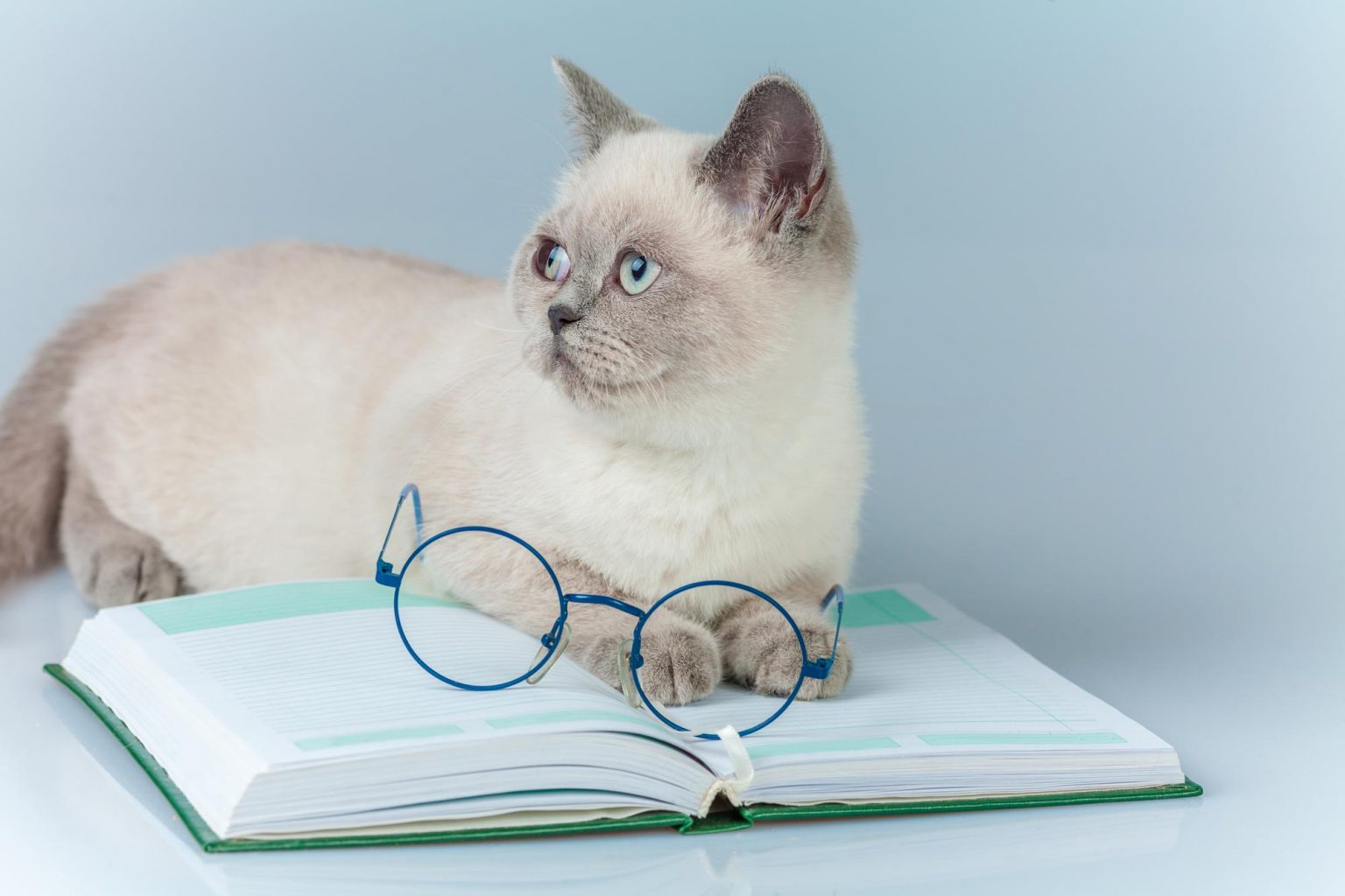 Weekly Children’s Poetry Roundup – Saturday, June 28, 2025 – Kenn ...